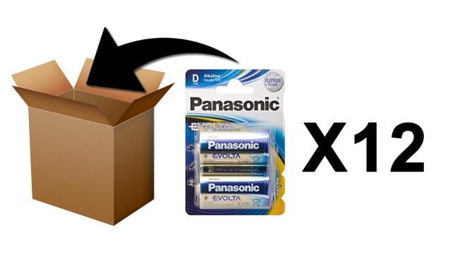 PANASONIC - Piles Alcaline Evolta D-LR20 X 2 - Box 12 Pack : ShopForGeek.com: Batteries Panasonic