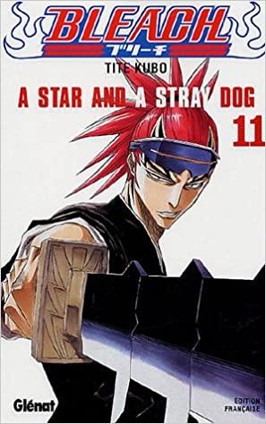 BLEACH - Tome 69 : ShopForGeek.com: Manga Glenat Bleach