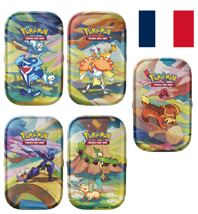 POKEMON - Mini Tin - 2024/06 - FR : ShopForGeek.com: Card game Pokémon ...