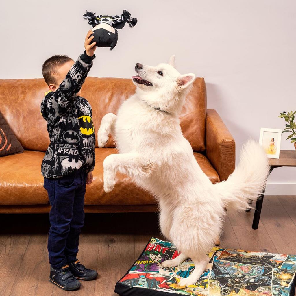 BATMAN - Rope Toy for Dog - Batman : ShopForGeek.com: Animal ...