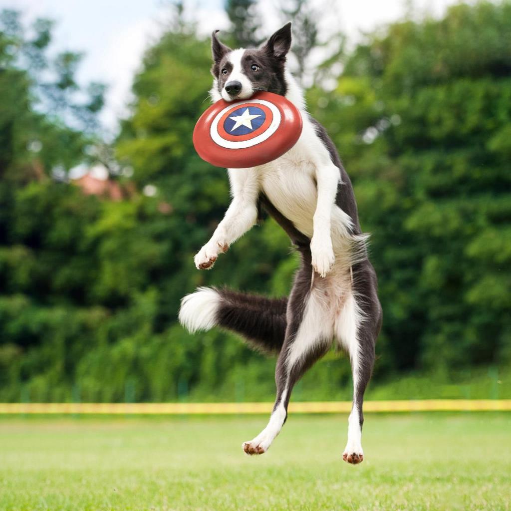 AVENGERS - Captain America - Dog Toy - Fresbee '23cm' : ShopForGeek.com ...