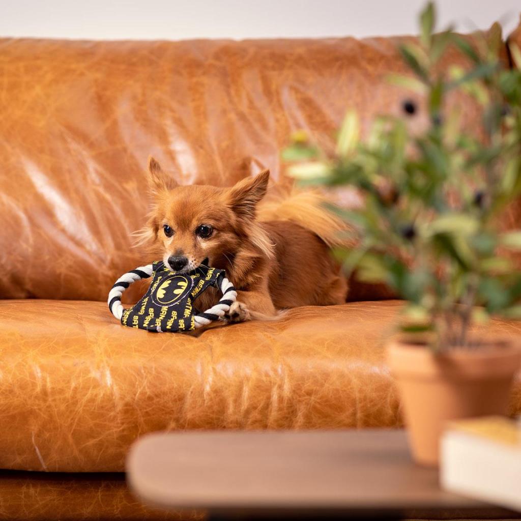BATMAN - Rope Teething Toy for Dog : ShopForGeek.com: Accesorios para ...