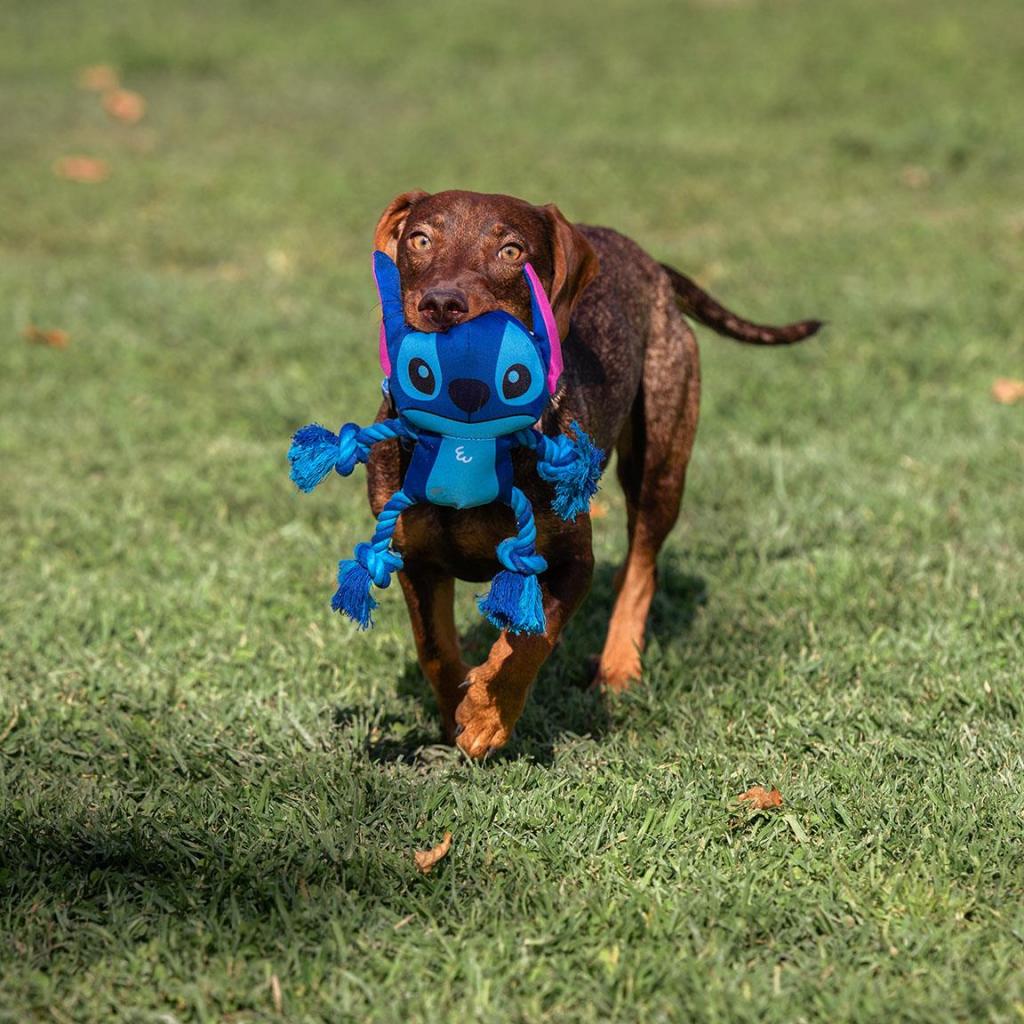 LILO & STITCH - Stitch - Rope Toy for Dog : ShopForGeek.com: Animal ...