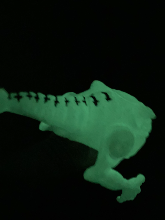 BOGLINS - Dark Lord Bog O'Bones 'Glow in the Dark' : ShopForGeek.com ...