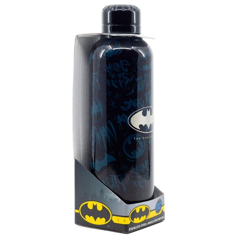 BATMAN - Stainless Steel Insulated Bottle - 17oz : ShopForGeek.com ...