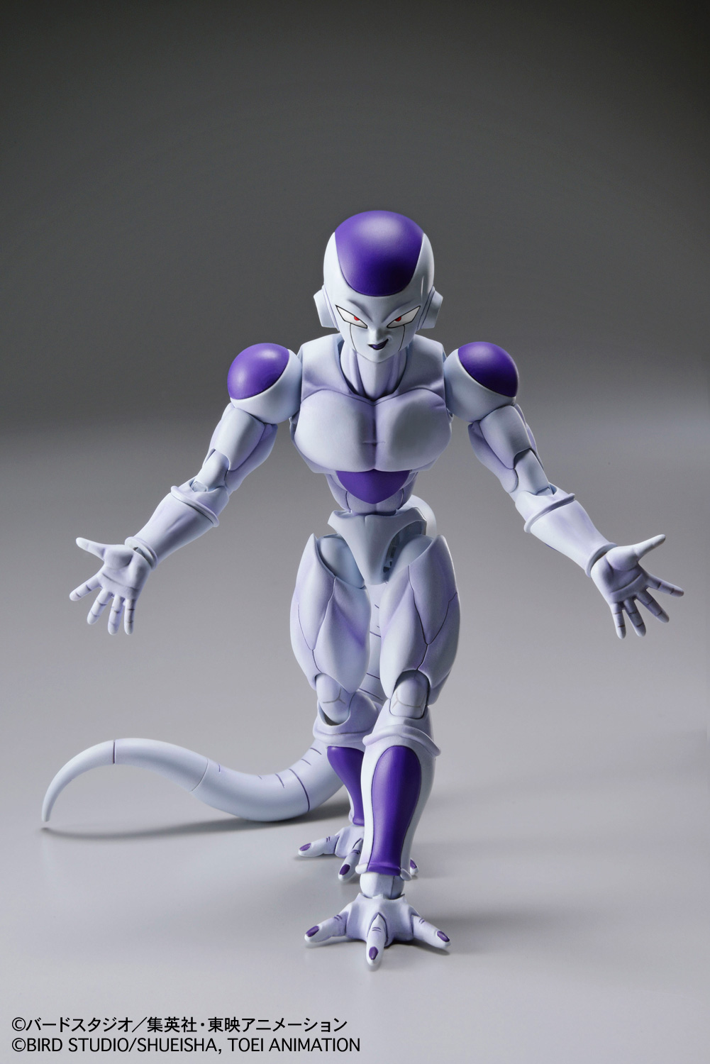 DRAGON BALL - Model Kit - Friezer Transformation Finale : ShopForGeek ...