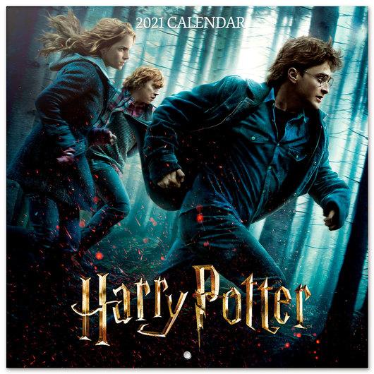 HARRY POTTER - Calendrier 2021 '30x30cm' : ShopForGeek.com: Calendrier ...