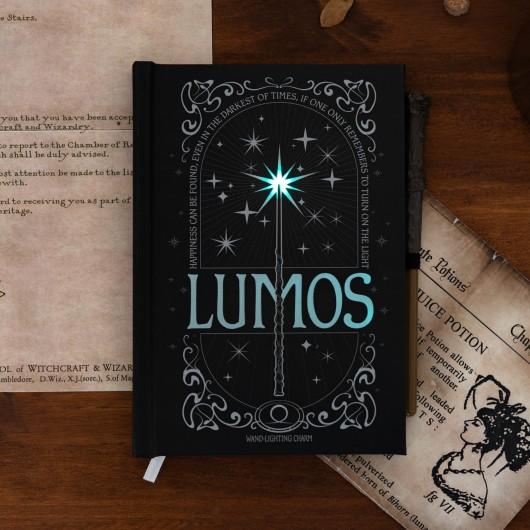 HARRY POTTER - Lomus - Premium Light Notebook + Wand Pen : ShopForGeek ...