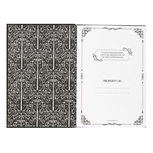 HARRY POTTER - Lomus - Premium Light Notebook + Wand Pen : ShopForGeek ...