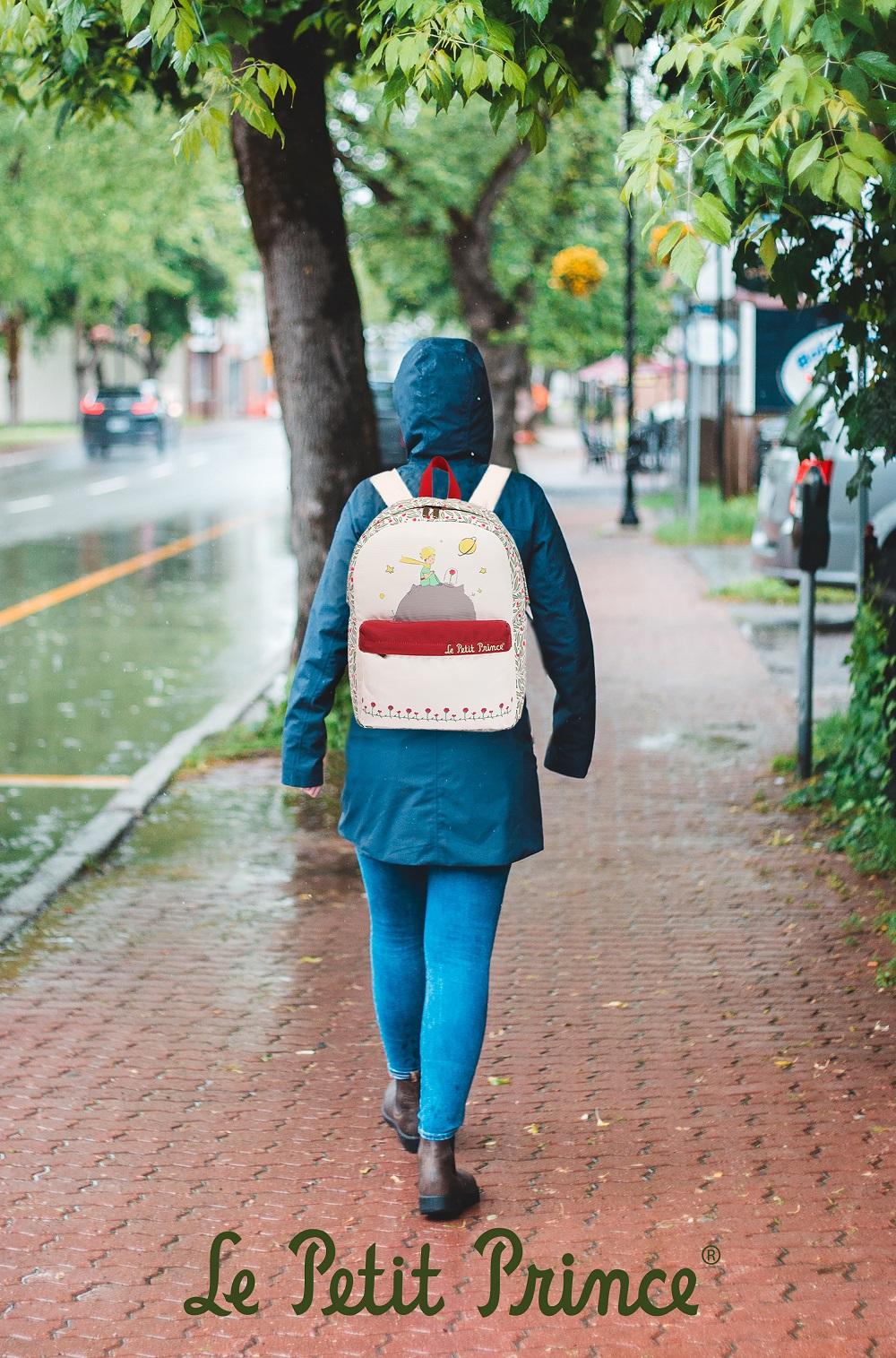 THE LITTLE PRINCE - Backpack '31x18x40cm' : ShopForGeek.com: Bag CYP ...