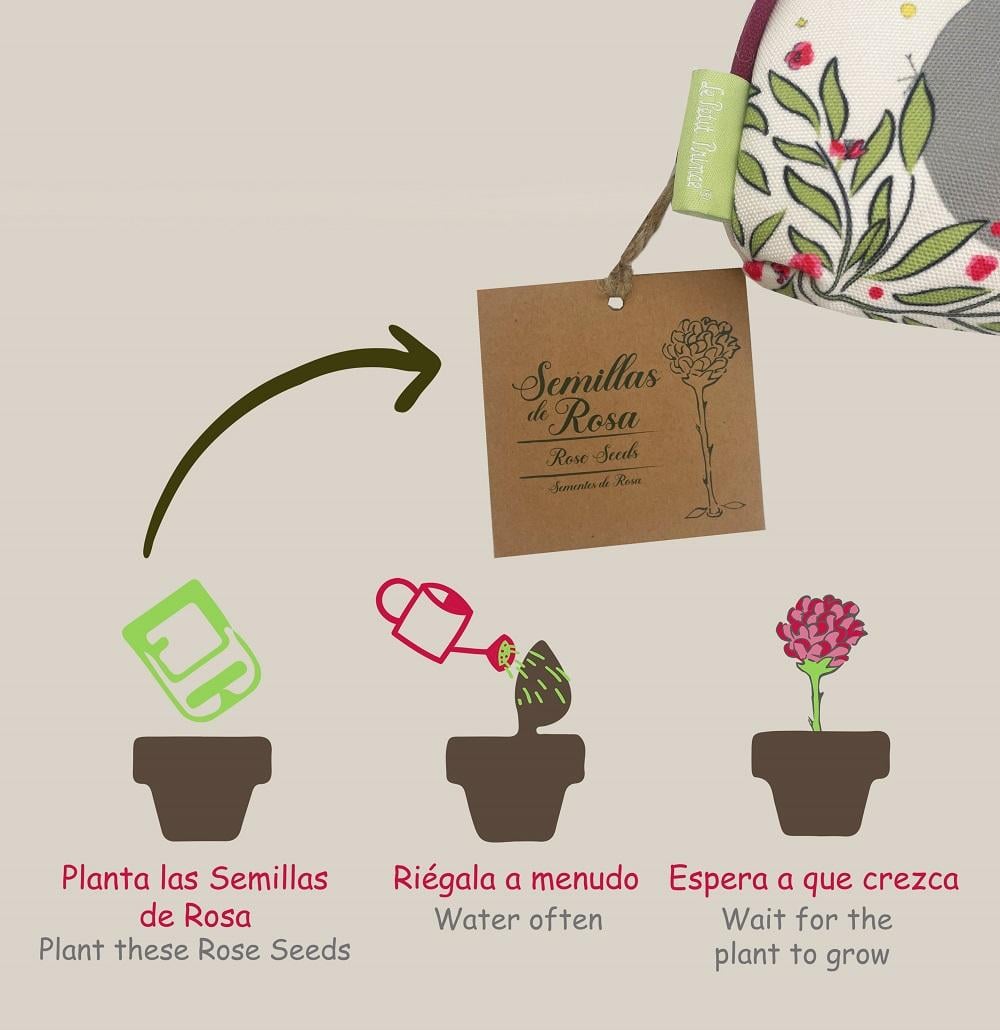 THE LITTLE PRINCE - Backpack '31x18x40cm' : ShopForGeek.com: Bag CYP ...