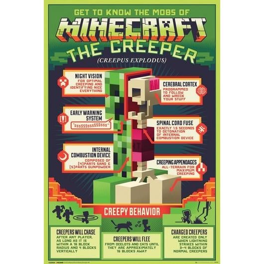 MINECRAFT - Creeper - Poster 61 x 91cm : ShopForGeek.com: Poster Grupo ...