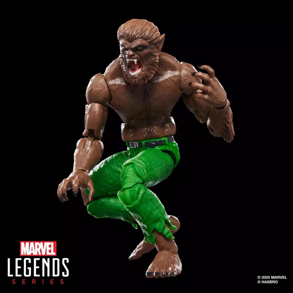 MARVEL - Werewolf by Night - Figure Legends Series 15cm : ShopForGeek ...