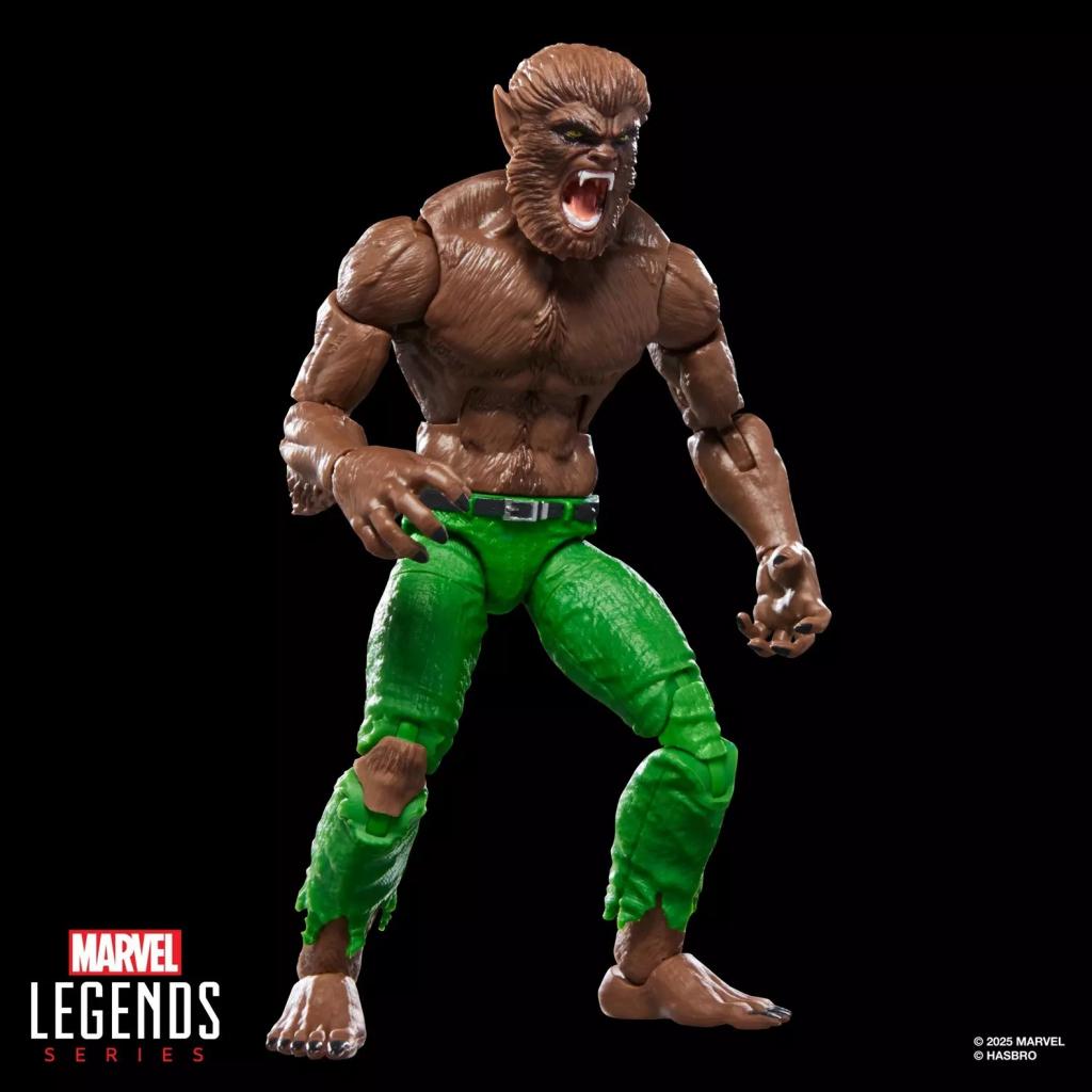 MARVEL - Werewolf by Night - Figure Legends Series 15cm : ShopForGeek ...