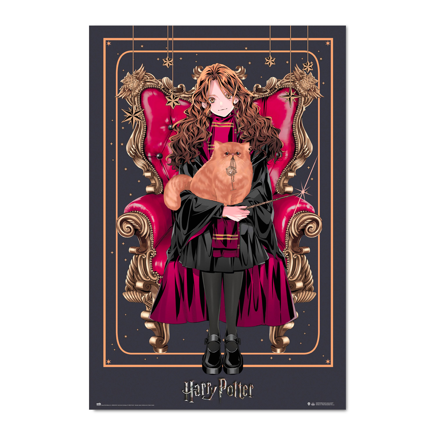 HARRY POTTER - Wizard Dynasty Hermione Granger - Poster 61x91cm ...