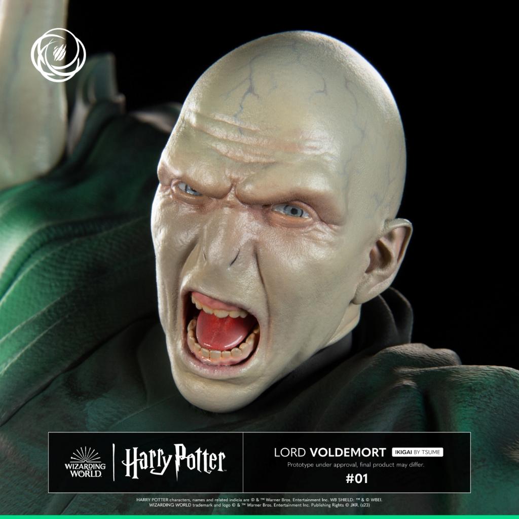 HARRY POTTER - Voldemort Ikigai - Statue Résine 1/6 32cm By Tsume ...