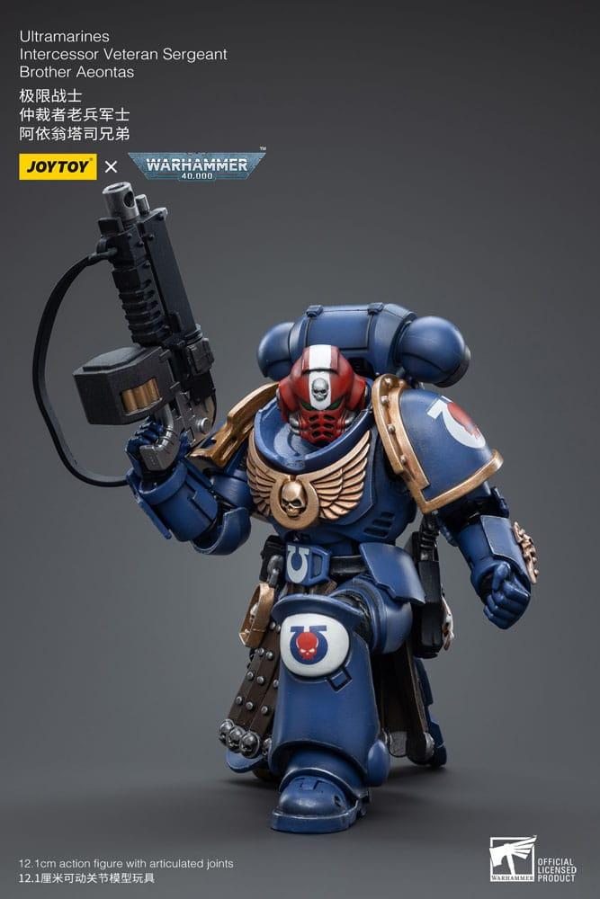 WARHAMMER 40K - Ultramarines Intercessor Brother Aeontas - Fig. 12cm ...
