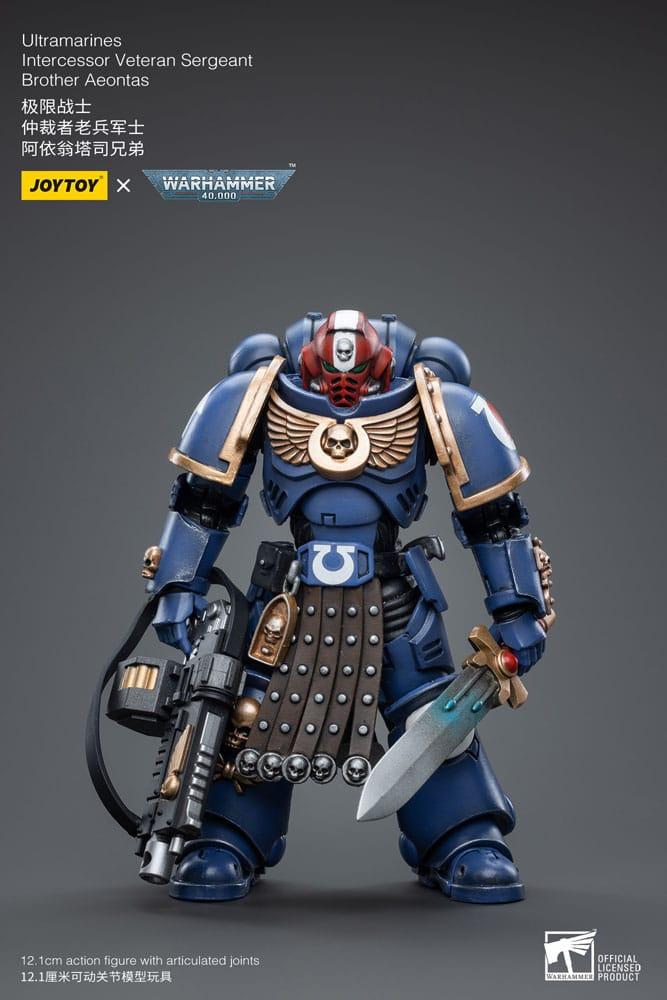 WARHAMMER 40K - Ultramarines Intercessor Brother Aeontas - Fig. 12cm ...