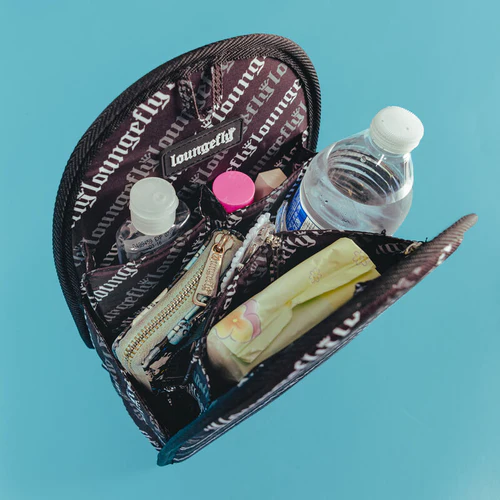 LOUNGEFLY - Insert Organizer - Mini Backpack Organiser LoungeFly ...