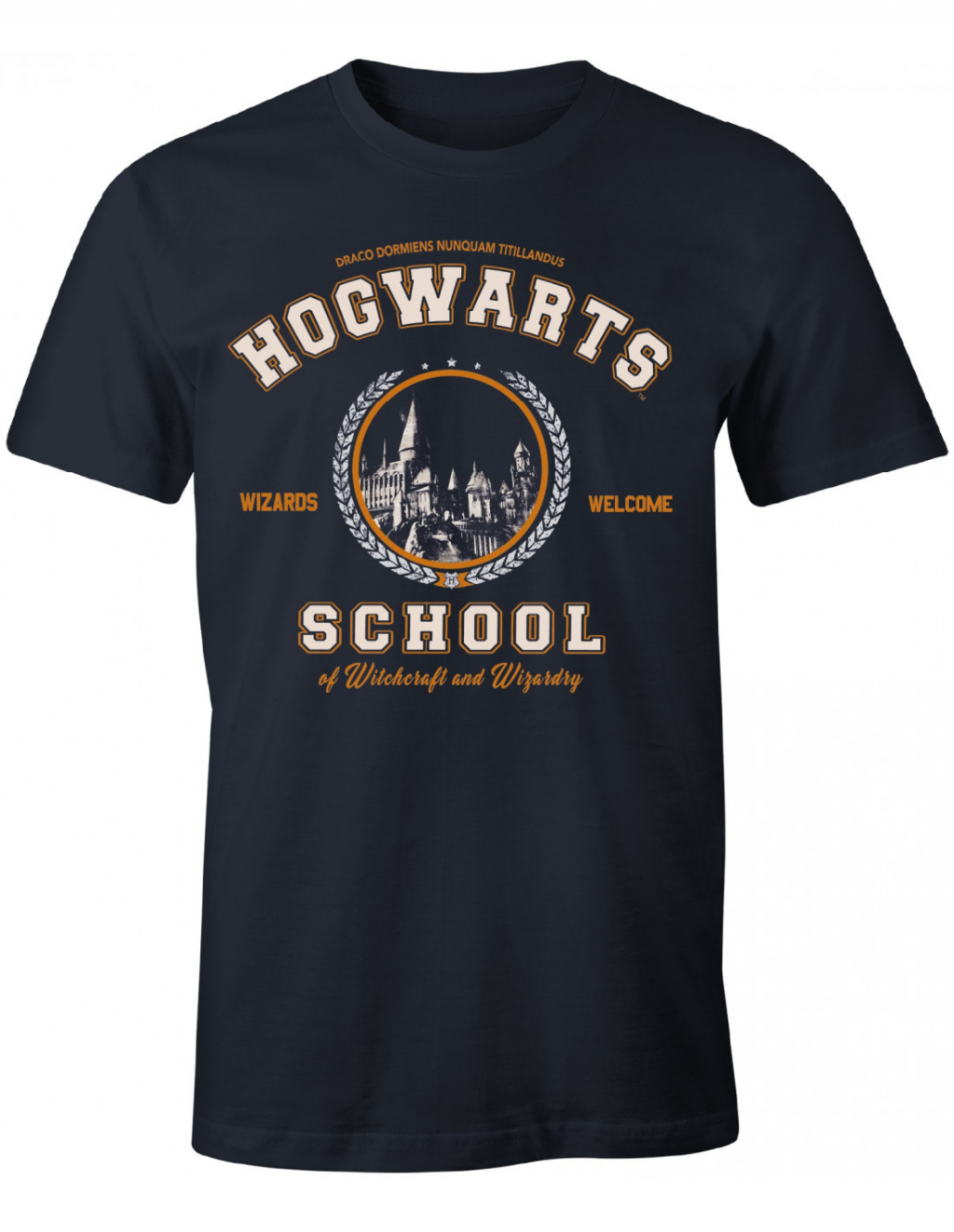 HARRY POTTER - Hogwarts School - T-Shirt Men (S) : ShopForGeek.com: T ...