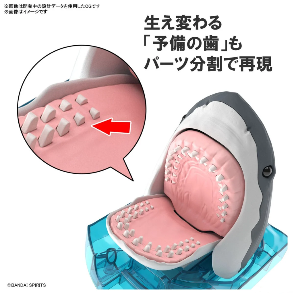 EXPLORING LAB NATURE - Great White Shark - Model Kit : ShopForGeek.com: Model Kit Bandai Model ...