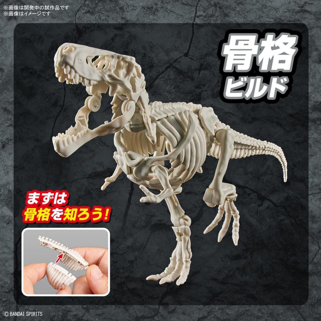 DINOSAUR - New Dinosaur Plastic Tyrannosaurus (Tentative) - Model Kit ...
