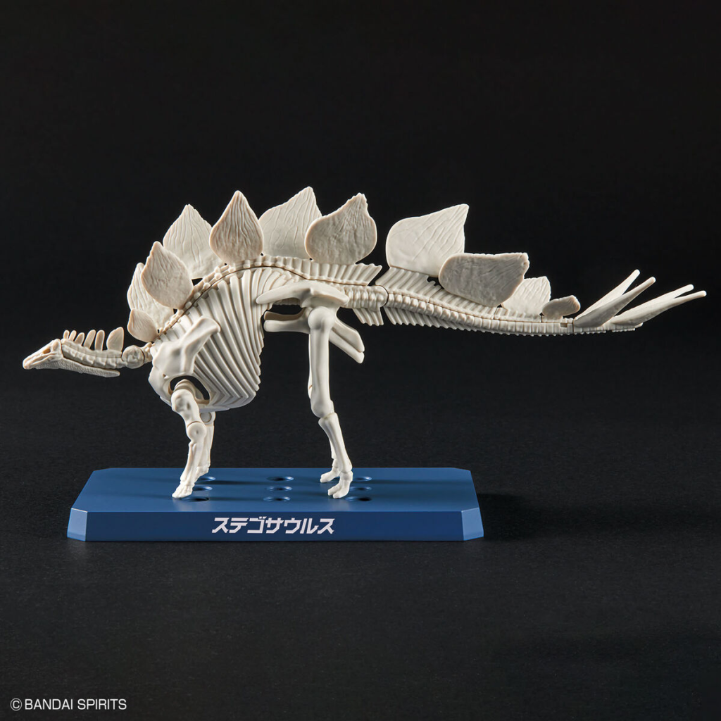 DINOSAUR - New Dinosaur Plastic Stegosaurus (Tentative) - Model Kit ...