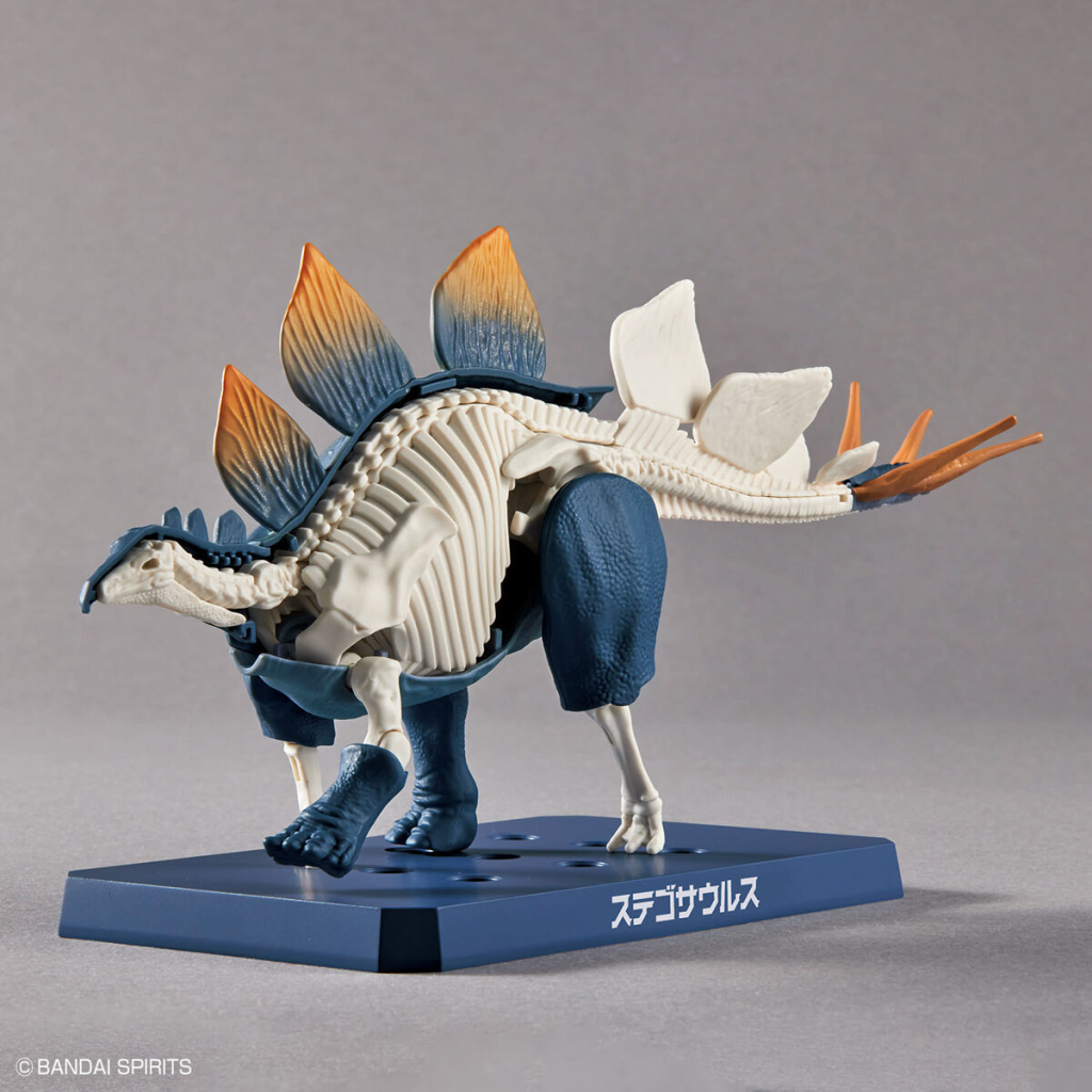 DINOSAUR - New Dinosaur Plastic Stegosaurus (Tentative) - Model Kit ...