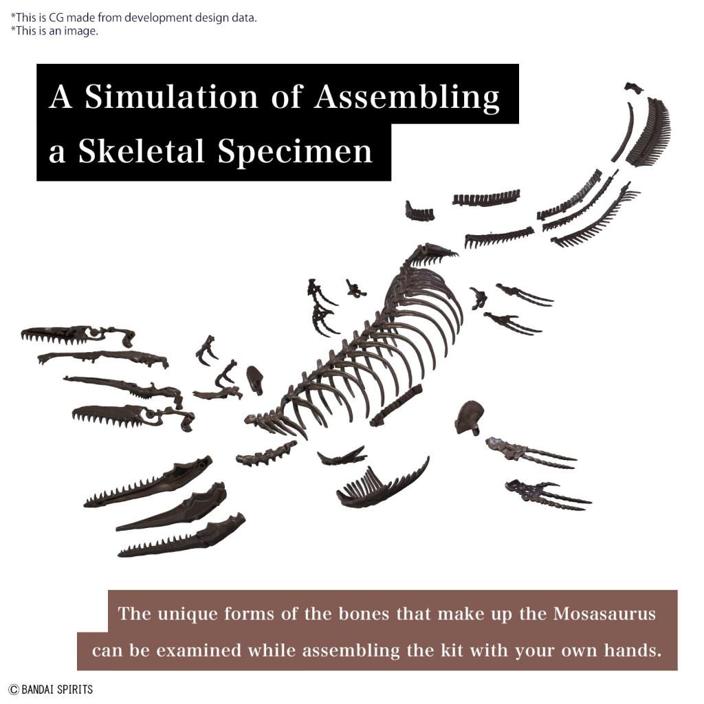 IMAGINARY SKELETON - Mosasaurus - Model Kit : ShopForGeek.com: Model ...