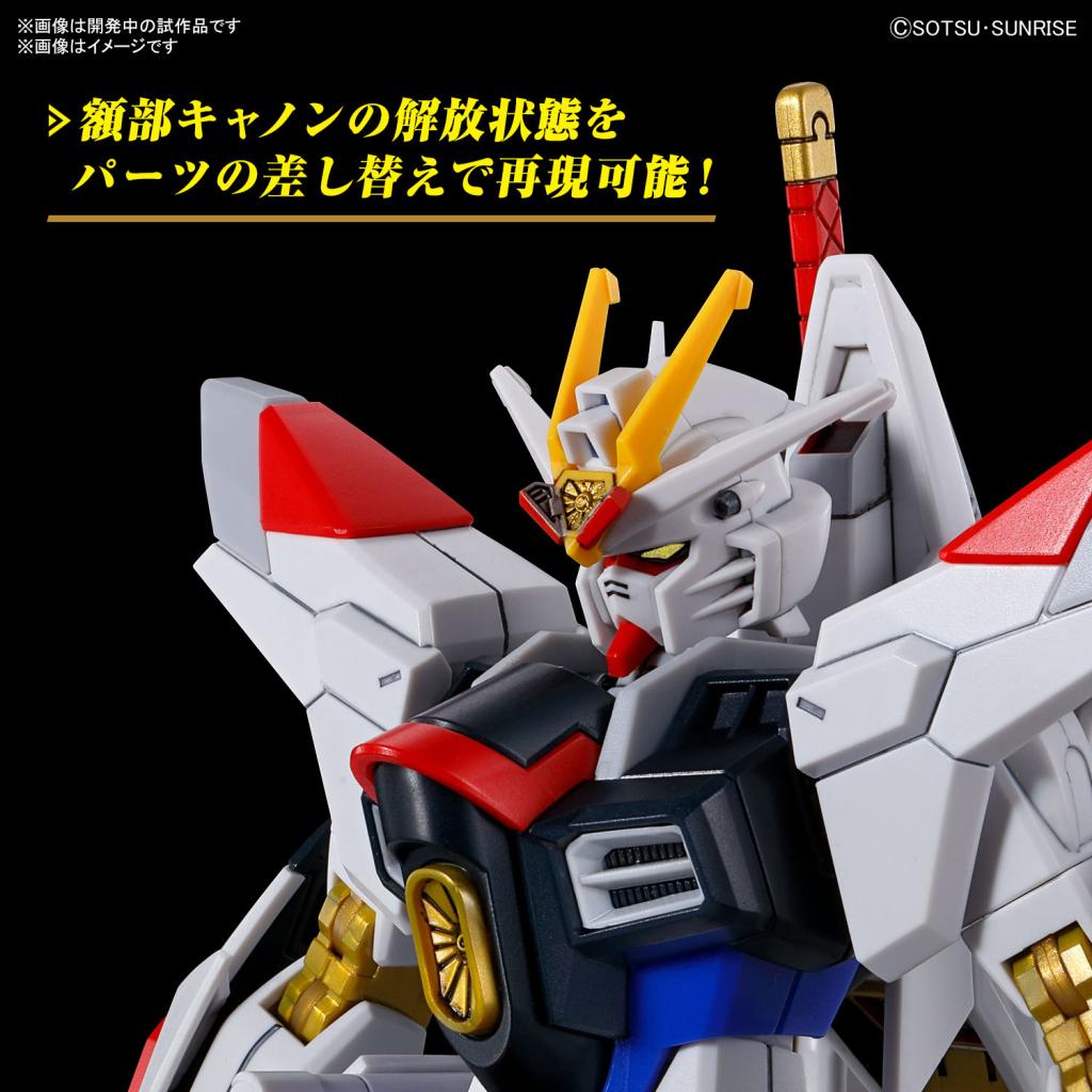 GUNDAM - HG 1/144 Mighty Strike Freedom Gundam - Model Kit ...