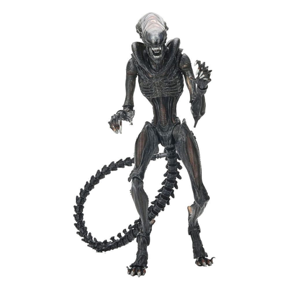 ALIEN ROMULUS - Scorched Xenomorph - Ultimate Figurine 18cm ...
