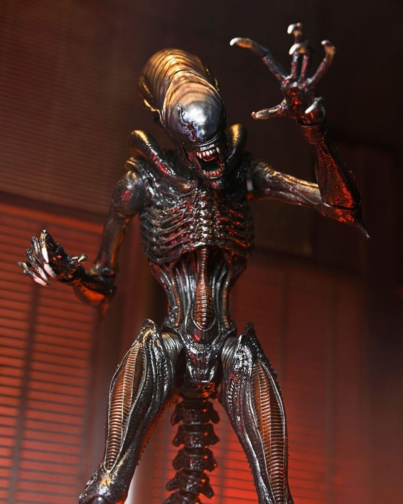 ALIEN ROMULUS - Scorched Xenomorph - Ultimate Figurine 18cm ...