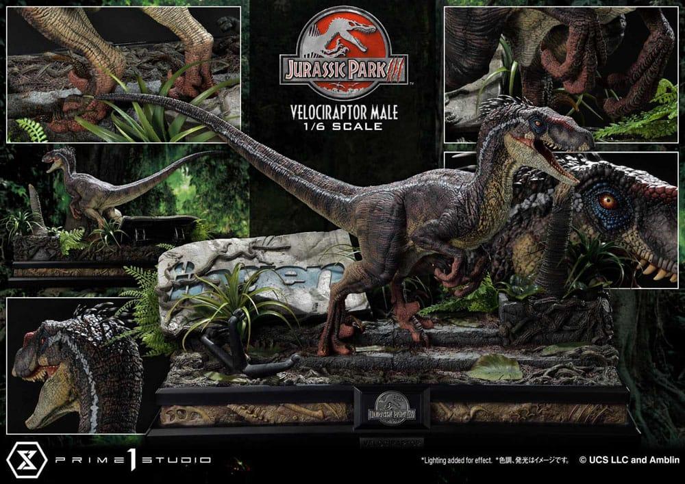 JURASSIC PARK 3 - Velociraptor Male - Statue Legacy Museum 40cm ...