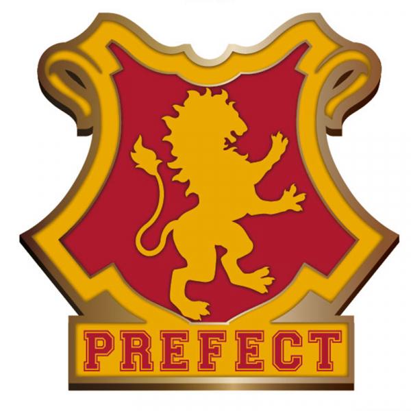 HARRY POTTER - Pin Badge Enamel - Gryffindor Perfect : ShopForGeek.com ...
