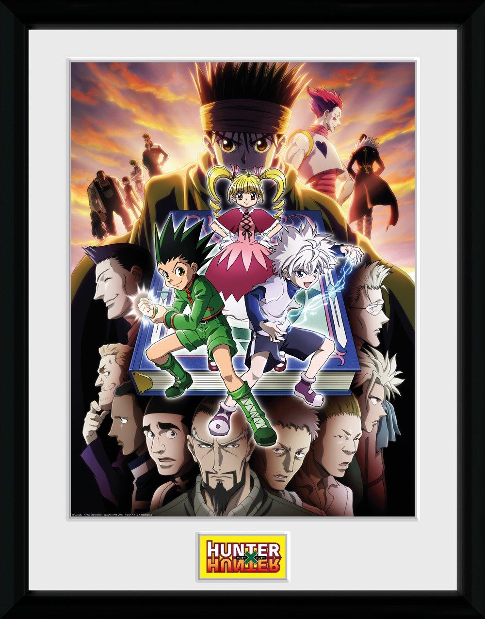 HUNTER X HUNTER - Keyart Book - Collector Print '30x40cm' : ShopForGeek ...