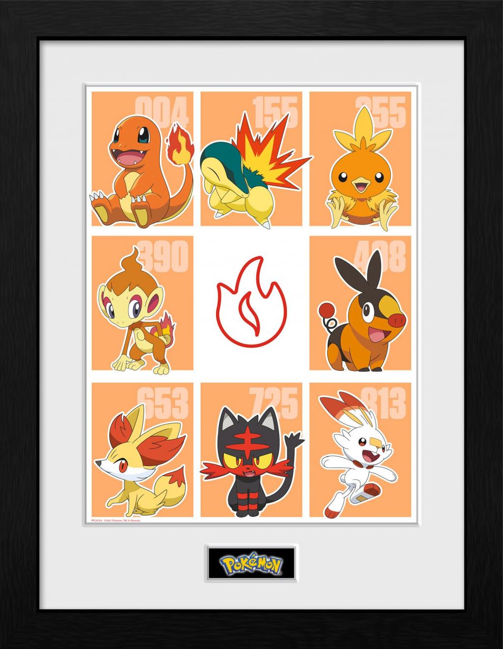 POKEMON - First Partners Fire - Collector Print '30x40cm' : ShopForGeek ...