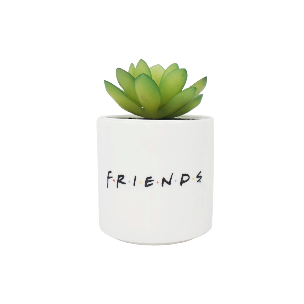 FRIENDS - Central Perk - Faux Plant Pot 6.5cm : ShopForGeek.com: Maceta ...