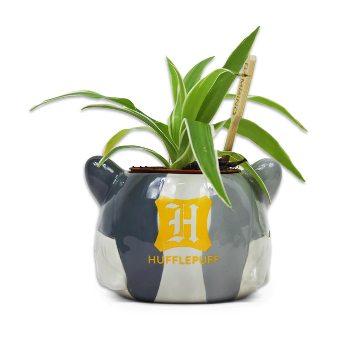 HARRY POTTER - Hufflepuff - Plant Pot : ShopForGeek.com: Plant pot HMB ...