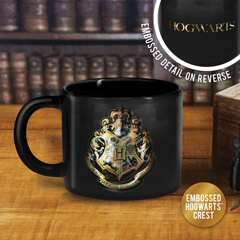 HARRY POTTER - Embossed Mug 13oz : ShopForGeek.com: Mug Paladone Harry ...