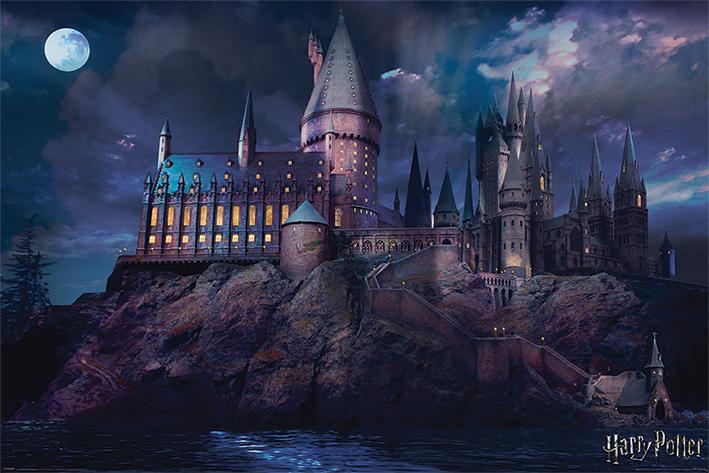 HARRY POTTER - Poster 61x91 - Hogwarts : ShopForGeek.com: Poster ...