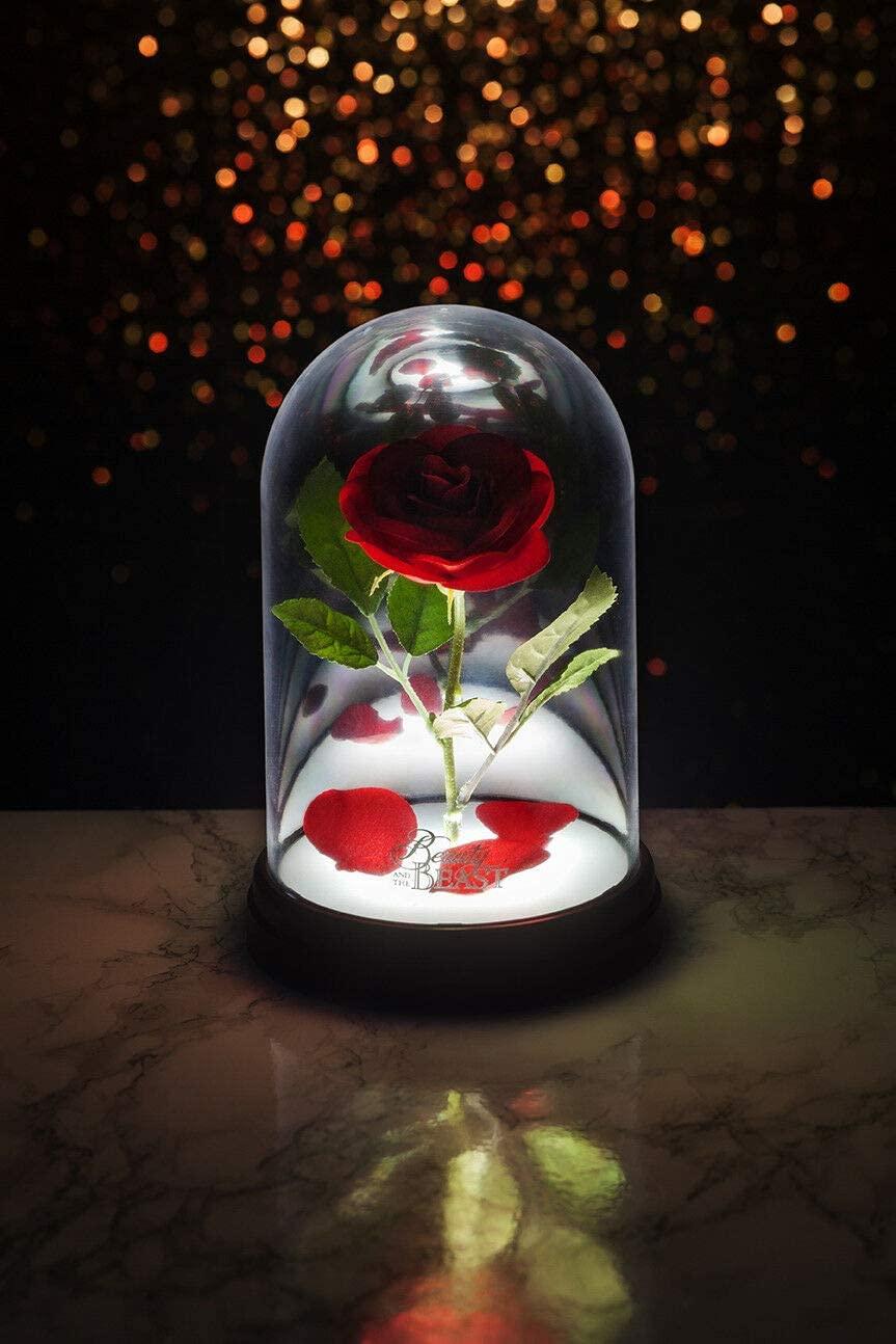 DISNEY - Enchanted Rose Light : ShopForGeek.com: Lamp Paladone DISNEY