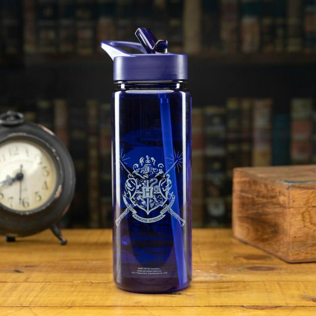 HARRY POTTER - Water Bottle - Hogwarts - 600ml : ShopForGeek.com: Mug ...