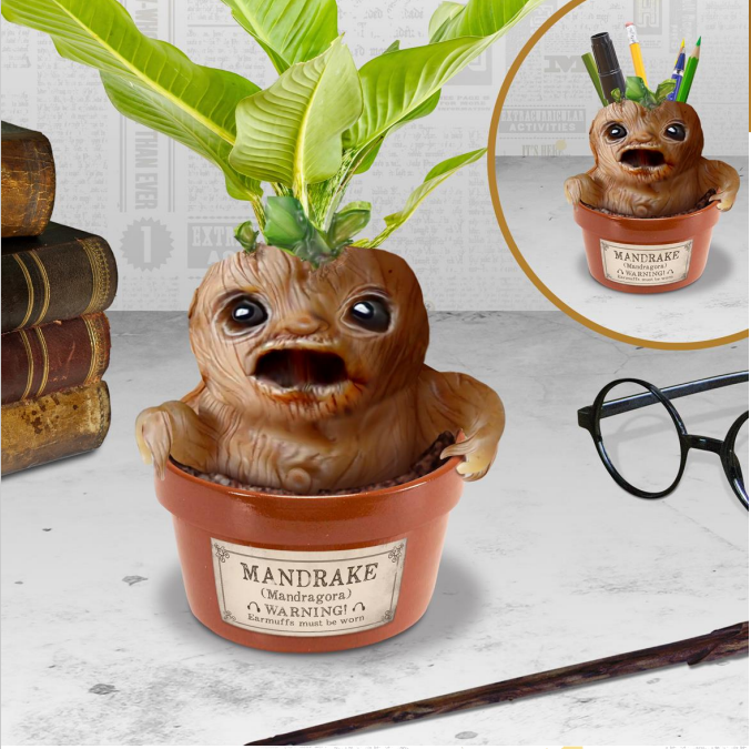 HARRY POTTER - Mandrake - Shaped Plant and Pen Pot : ShopForGeek.com ...