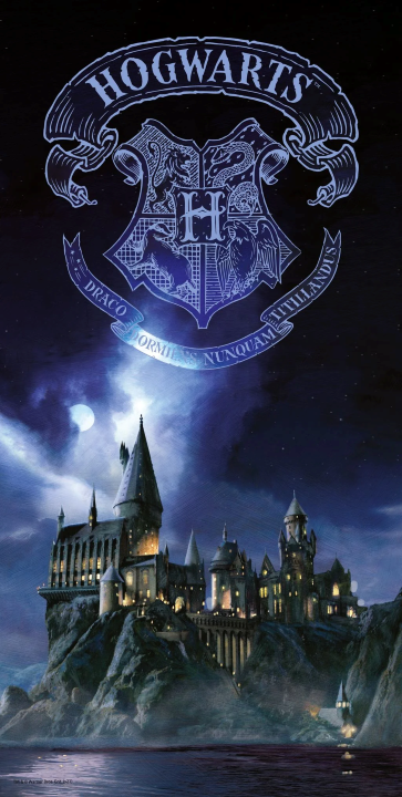 HARRY POTTER - GLASS POSTER - Hogwarts - 61X31x3cm : ShopForGeek.com ...