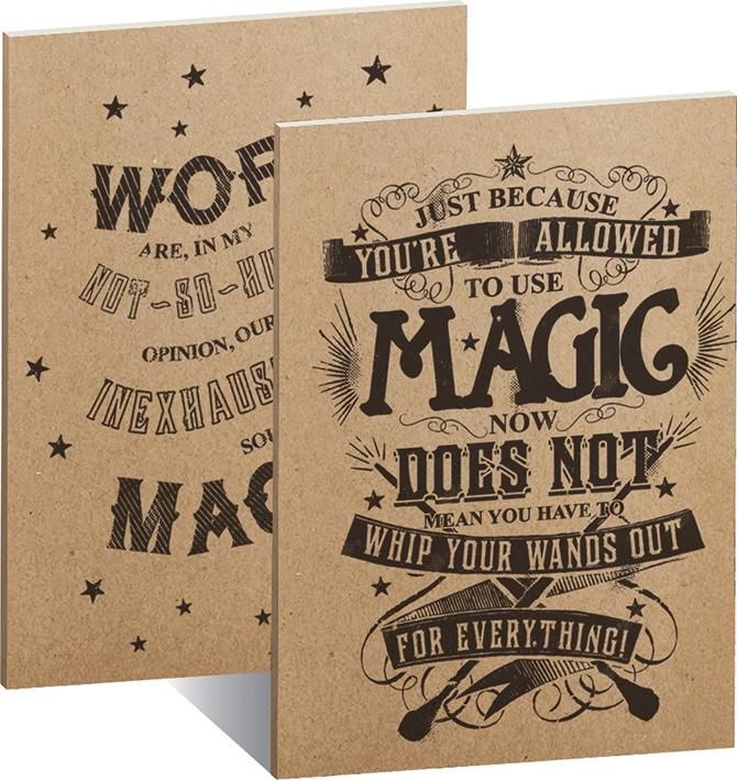 HARRY POTTER - Exercise Book A5 - Magic (x2) : ShopForGeek.com ...