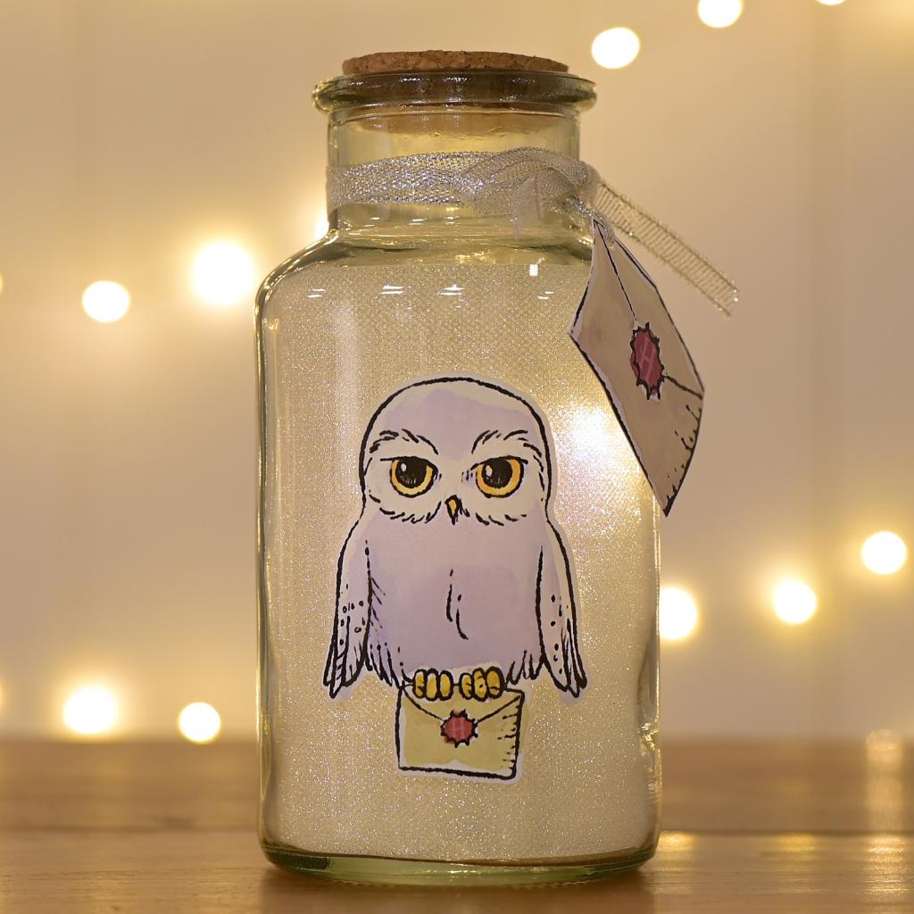 HARRY POTTER - Hedwig - Light-Up Lantern - 17 cm : ShopForGeek.com ...