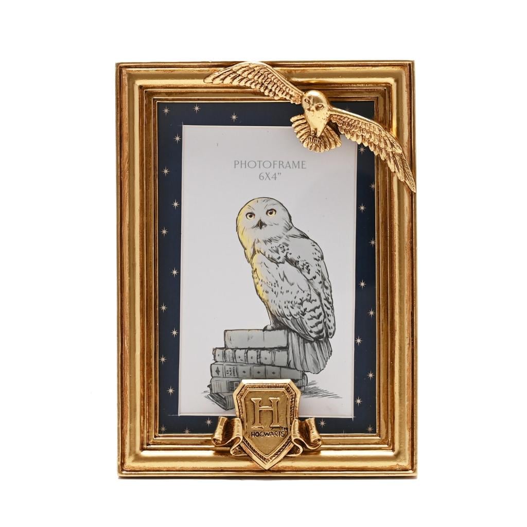 HARRY POTTER - Hedwig - 3D Photo Frame : ShopForGeek.com: Widdop Harry ...