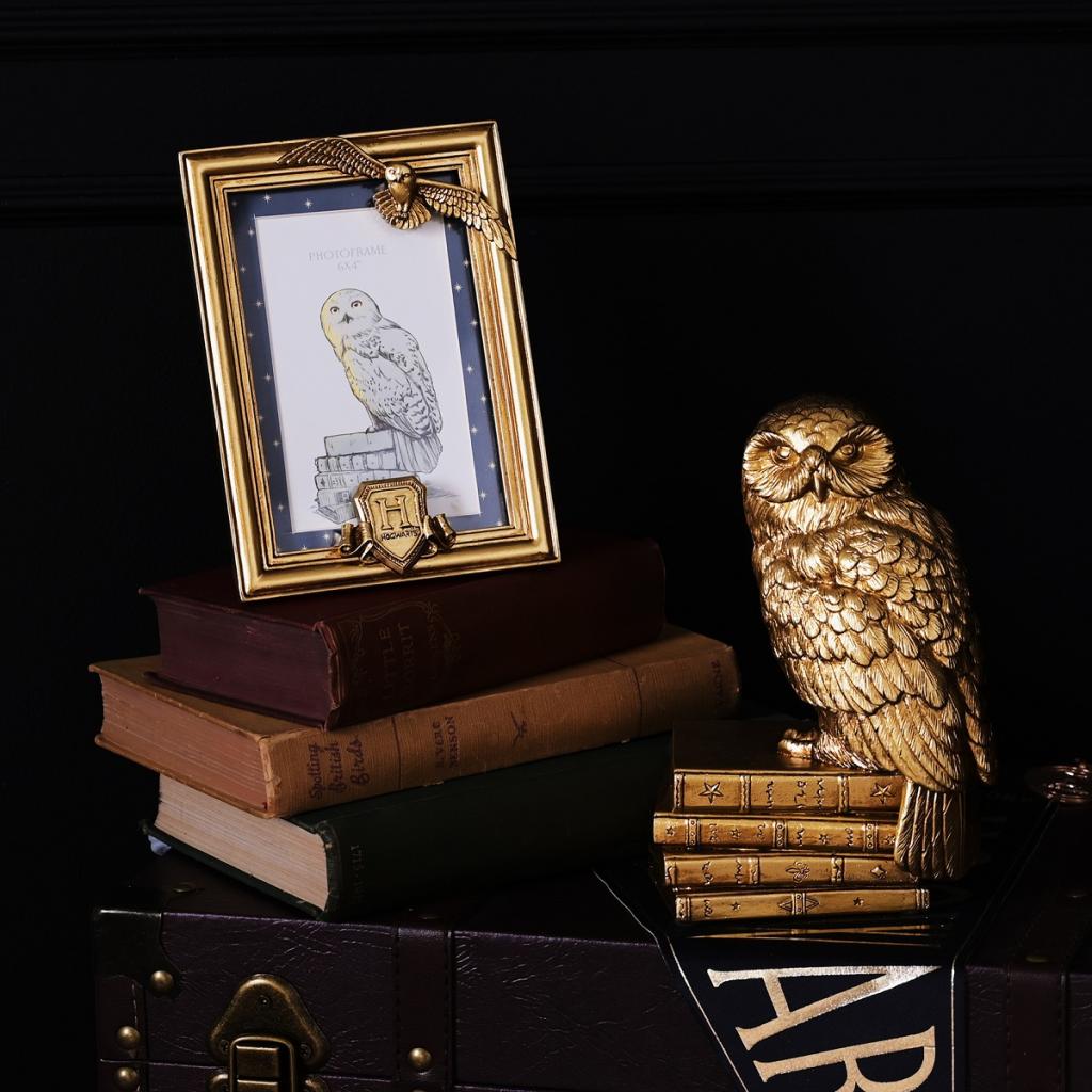 HARRY POTTER - Hedwig - 3D Photo Frame : ShopForGeek.com: Widdop Harry ...