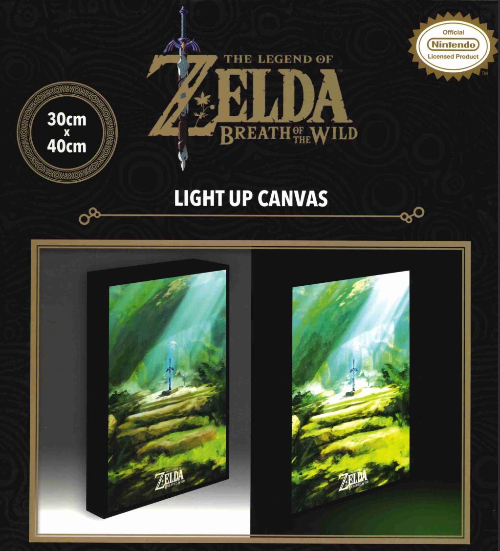 THE LEGEND OF ZELDA - Master Sword - Canvas Lumineux 40X30 Cm ...
