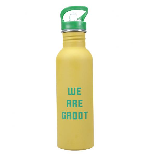 MARVEL - Water Bottle Metal - Groot : ShopForGeek.com: Bottle HMB Marvel
